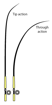 Useful information on fly rod characteristics