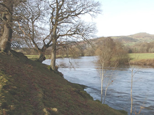 A map of Salmon fisheries with names of catches from Builth Wells ...